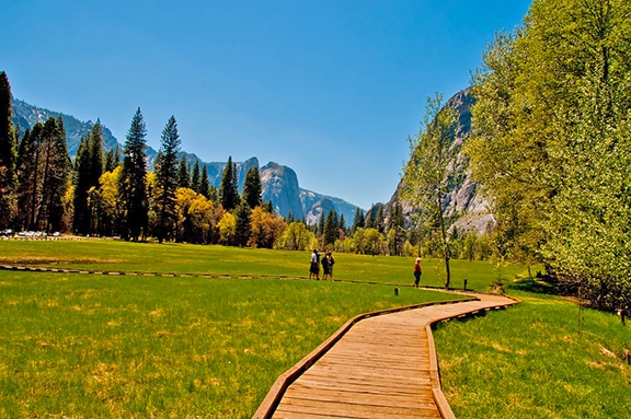 Northern Californias Finest