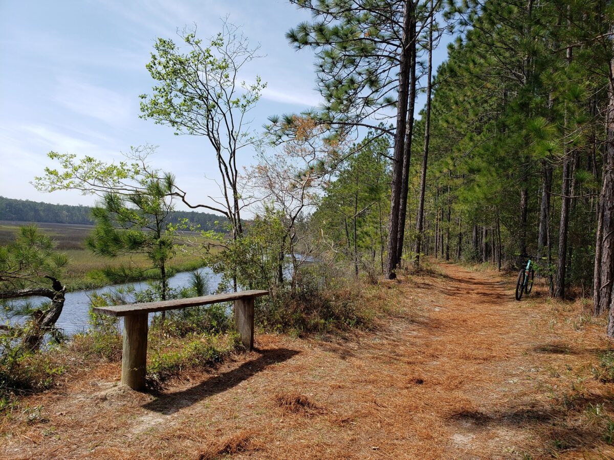 South Carolina Parks and Forests – MGA Travel